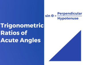 Trigonometric Ratios of Acute Angles Class 10th | MIT Academys ...